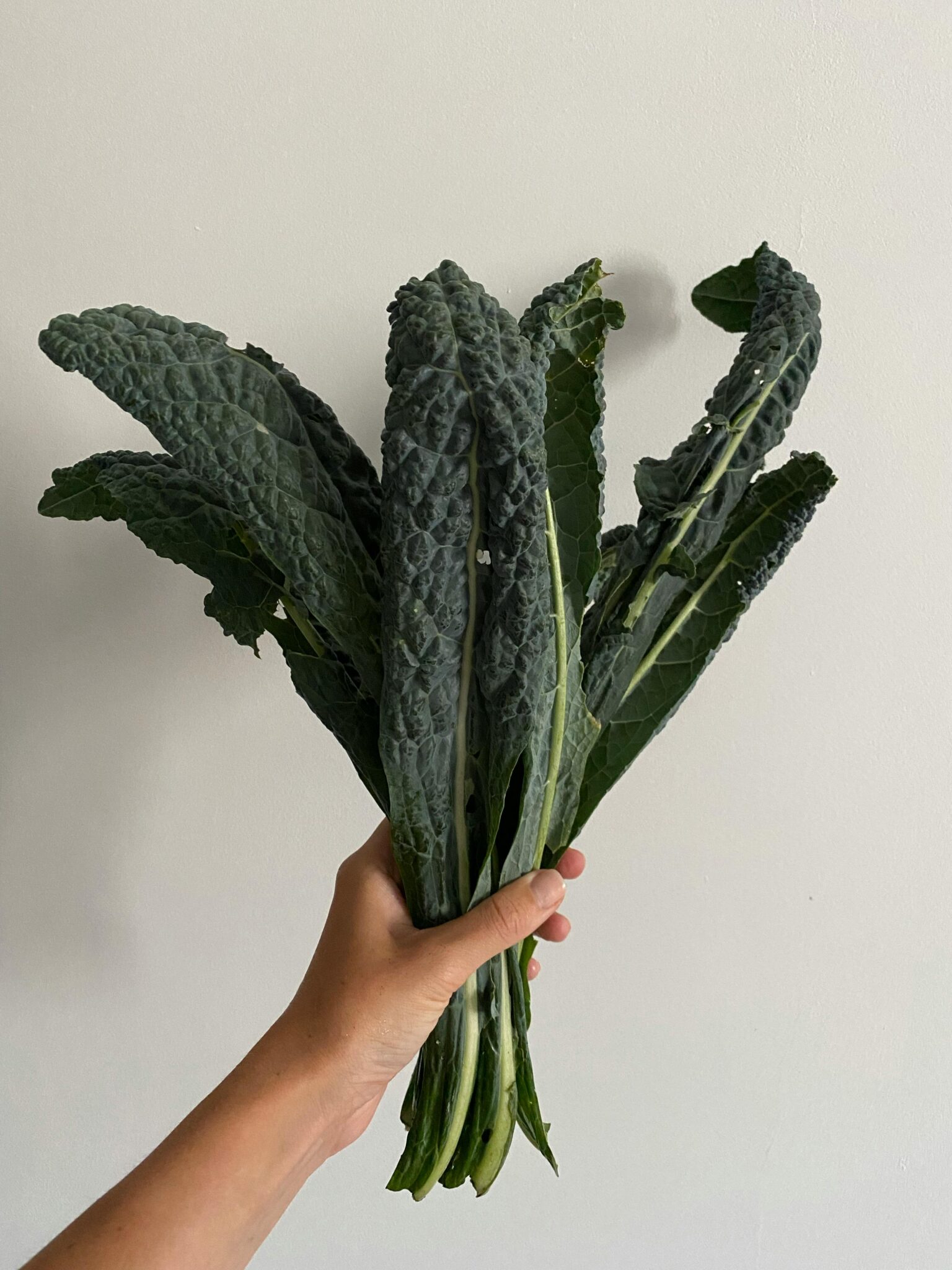 Hearing Health and Iron Deficiency: What You Need to Know | South ...